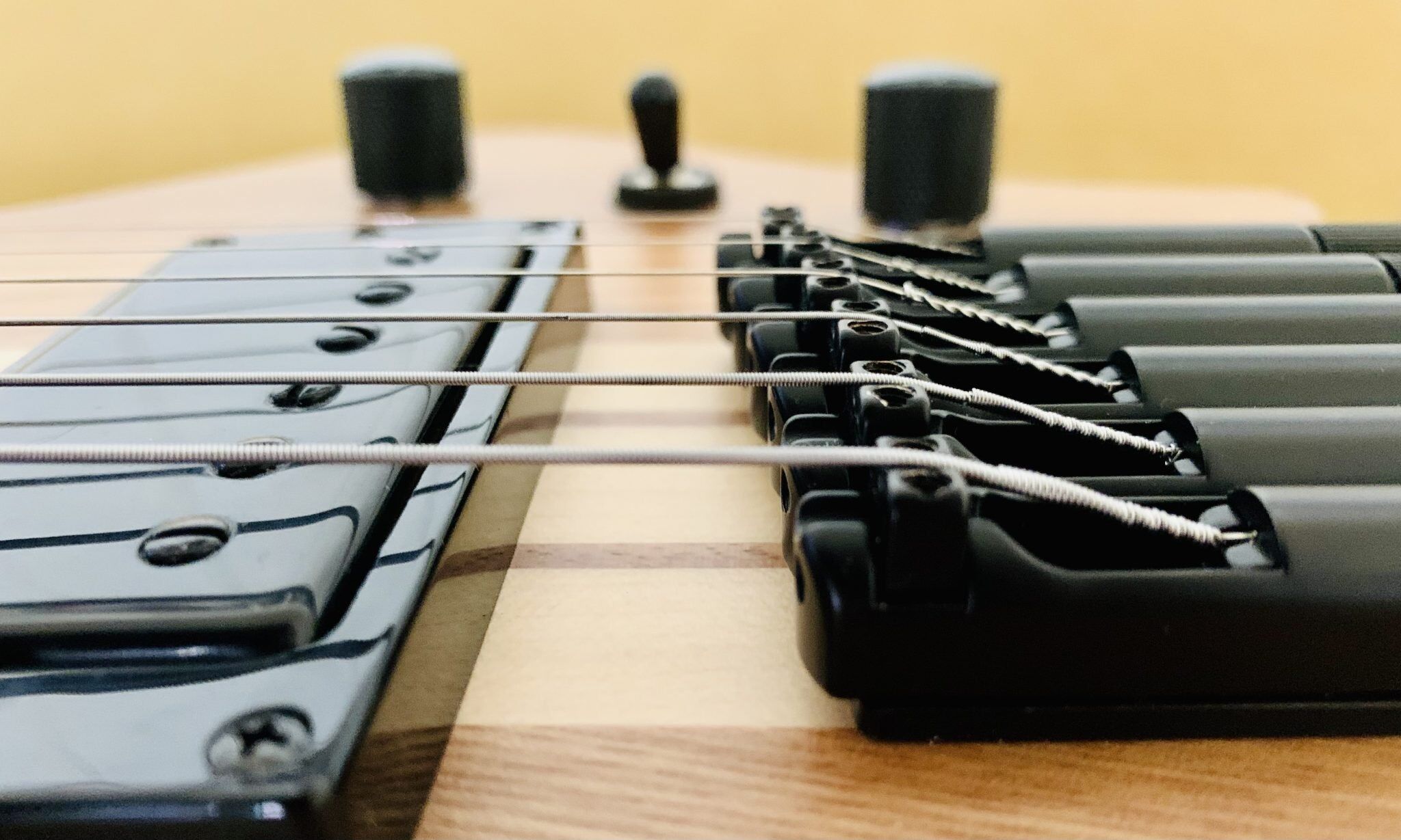 Headless Basses (2024) - HeadlessGuitarBlog.com